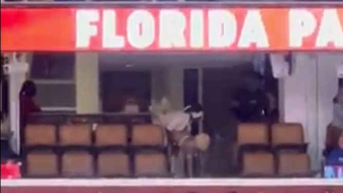 Analysis Was Rapper Kodak Black Having Sex In A Florida Panthers Suite